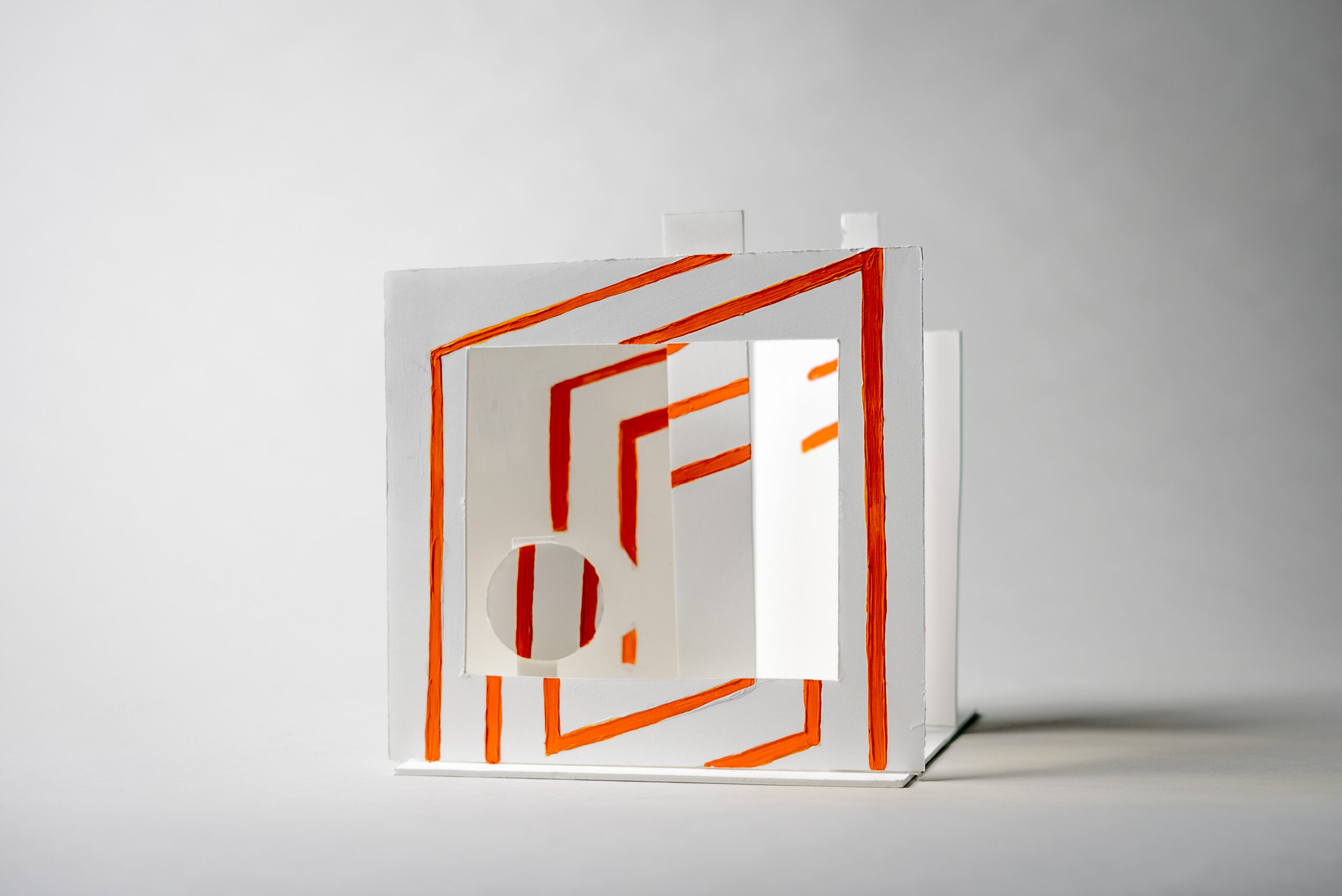 ANAMORFRESQUE - AADN